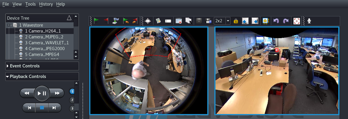 Why do I see a black "cone" when dewarping my fisheye camera ...